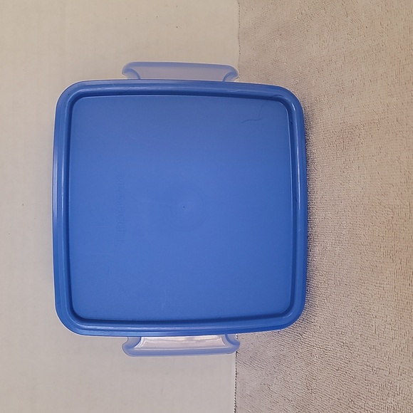 Tupperware | Kitchen | Tupperware Blue Snack And Go Container | Poshmark